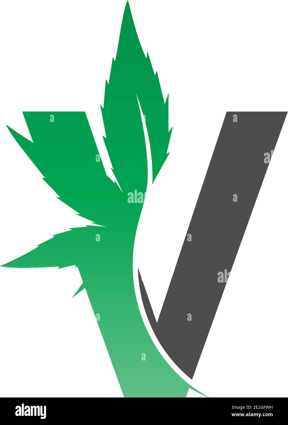 Letter V logo icon with cannabis leaf design vector illustration Stock ...