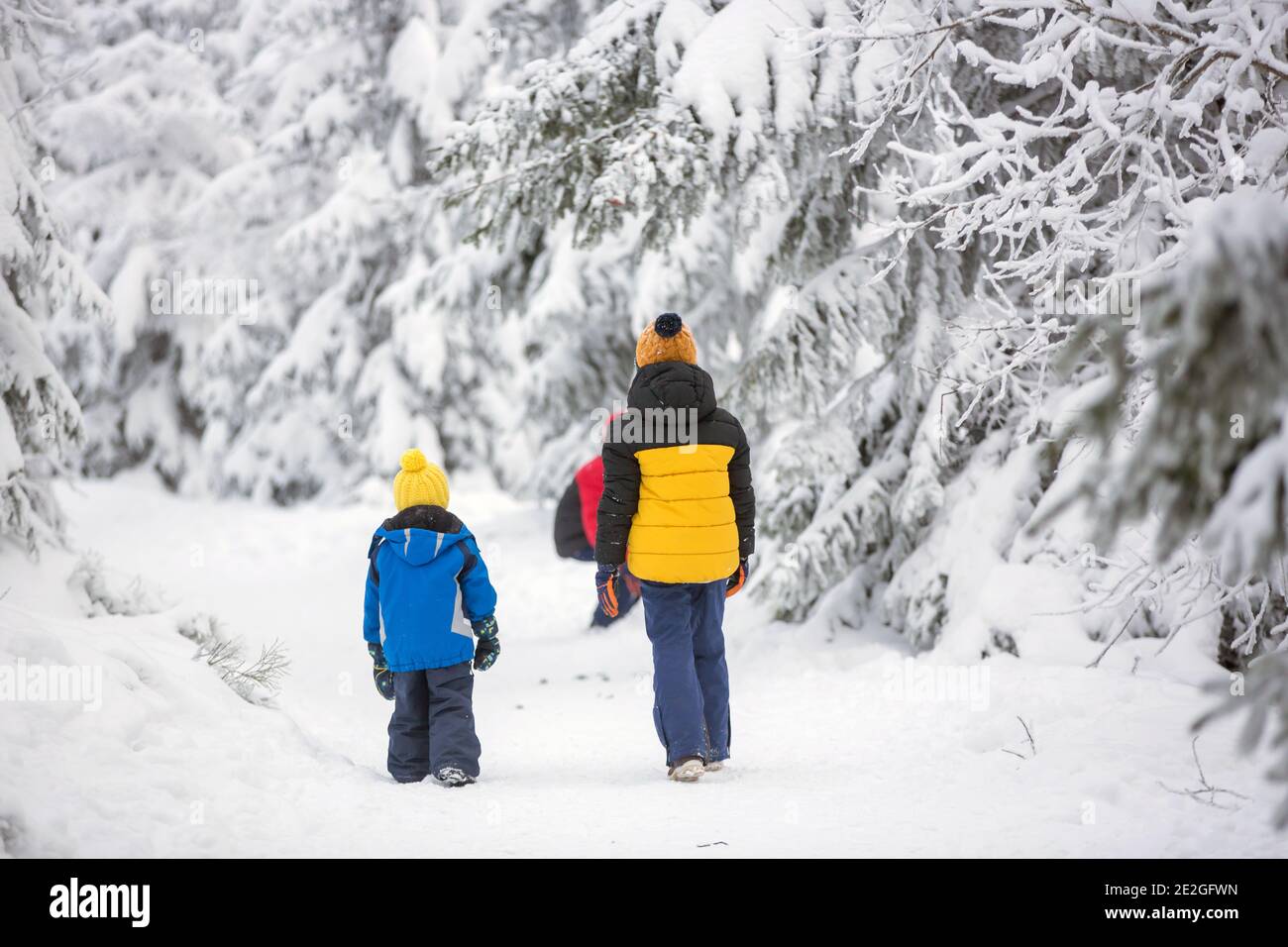 Sweet happy children, brothers, playing in deep snow in forest, frosted ...