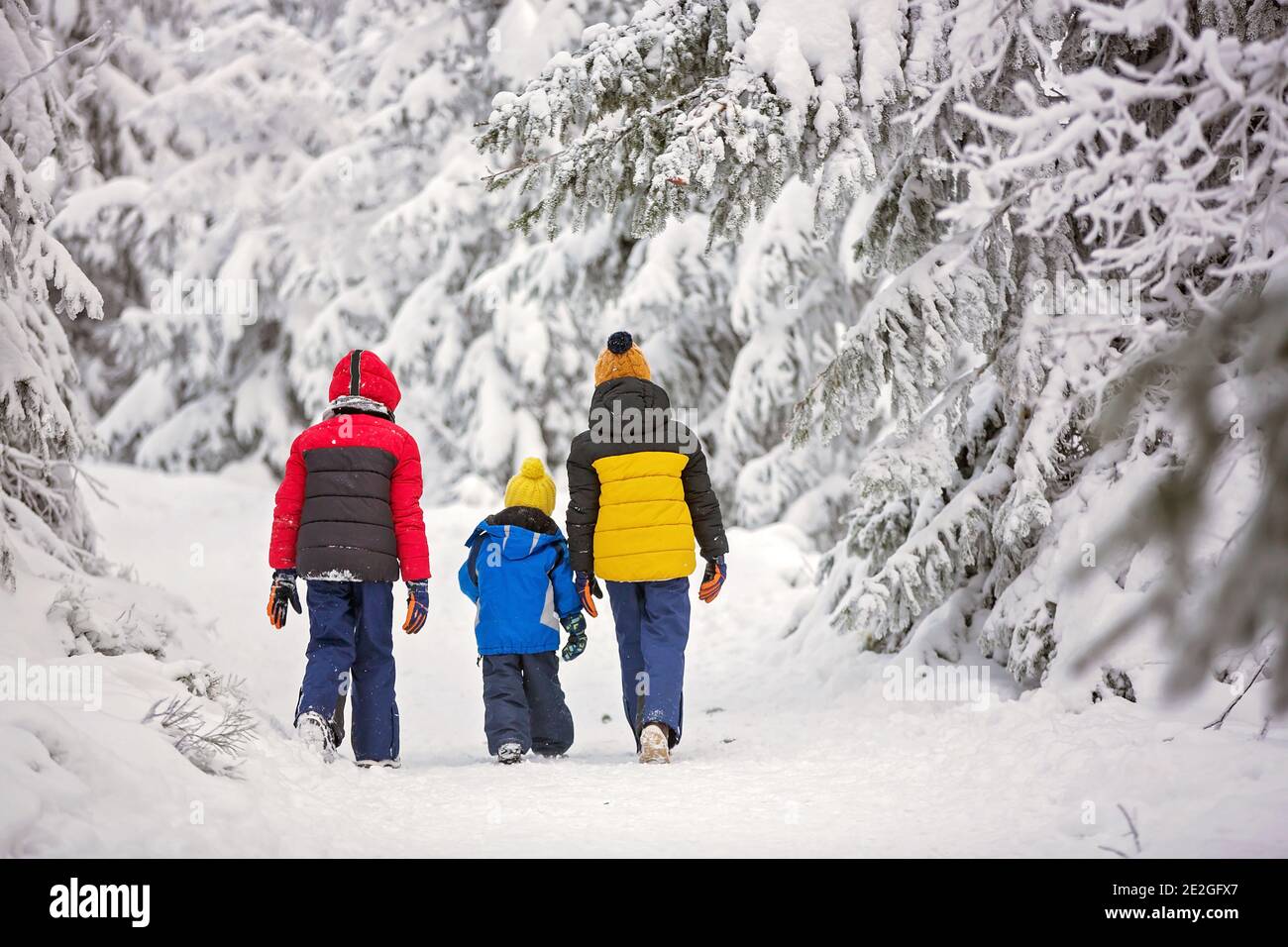 Sweet happy children, brothers, playing in deep snow in forest, frosted ...