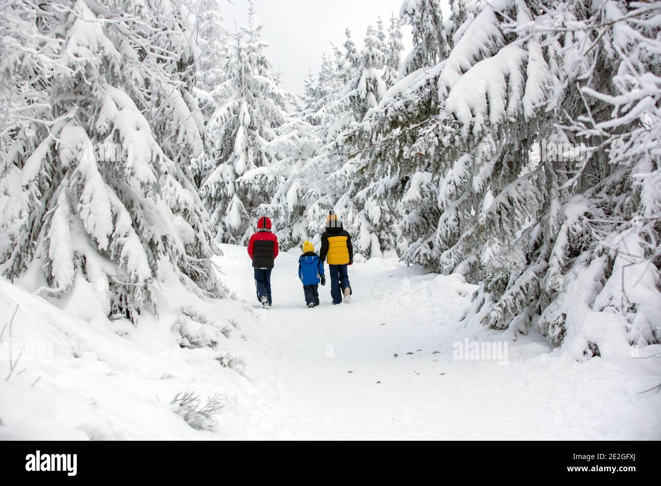 Sweet happy children, brothers, playing in deep snow in forest, frosted ...