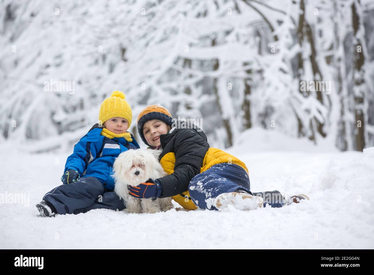Sweet happy children, brothers, playing in deep snow in forest, frosted ...