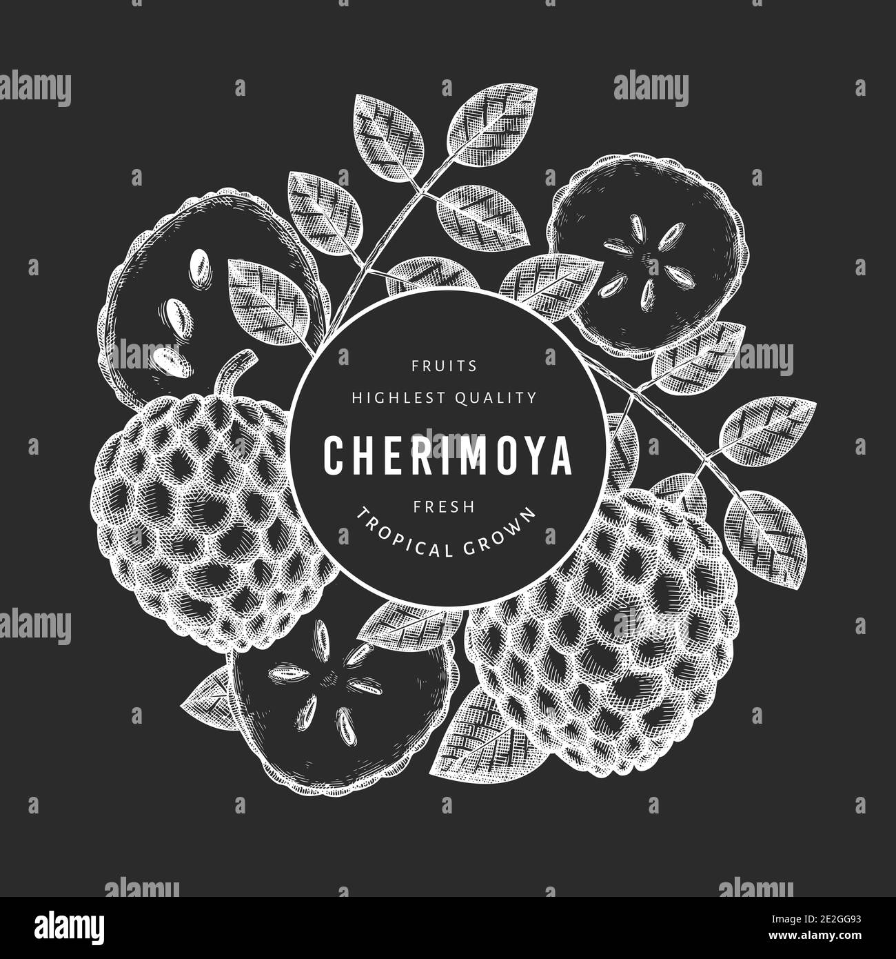 Hand drawn sketch style cherimoya banner. Organic fresh fruit vector ...