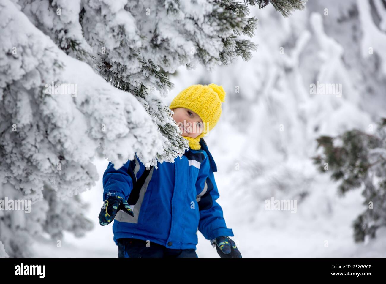 Sweet happy child, playing in deep snow in forest Stock Photo - Alamy