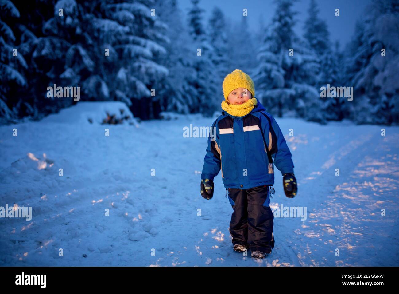 Sweet happy child, playing in deep snow in forest Stock Photo - Alamy