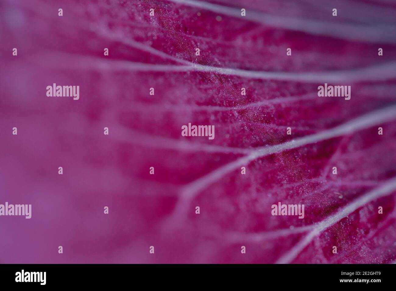 Image detail hi-res stock photography and images - Alamy