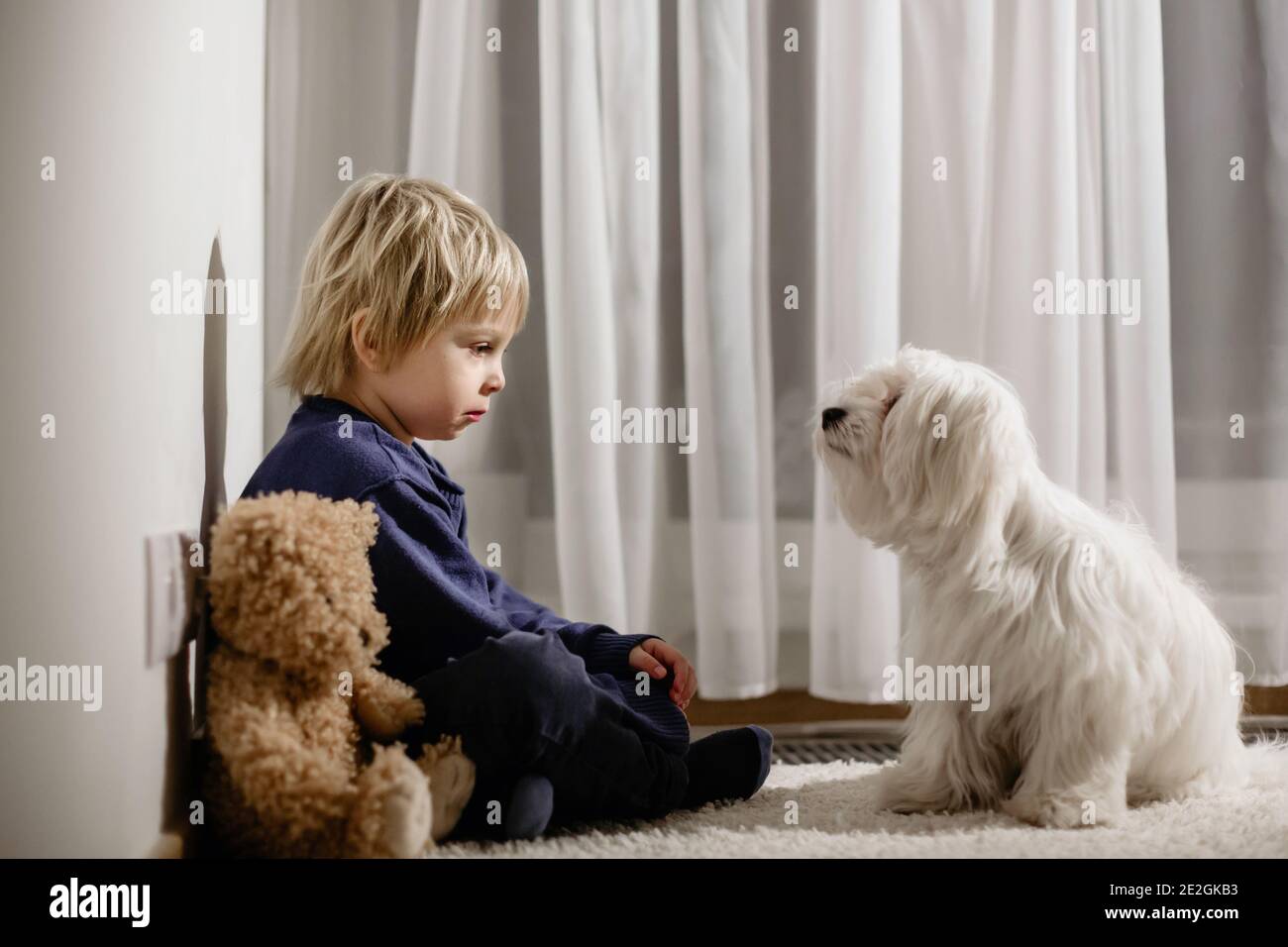 Angry little toddler child, blond boy, sitting in corner with teddy ...