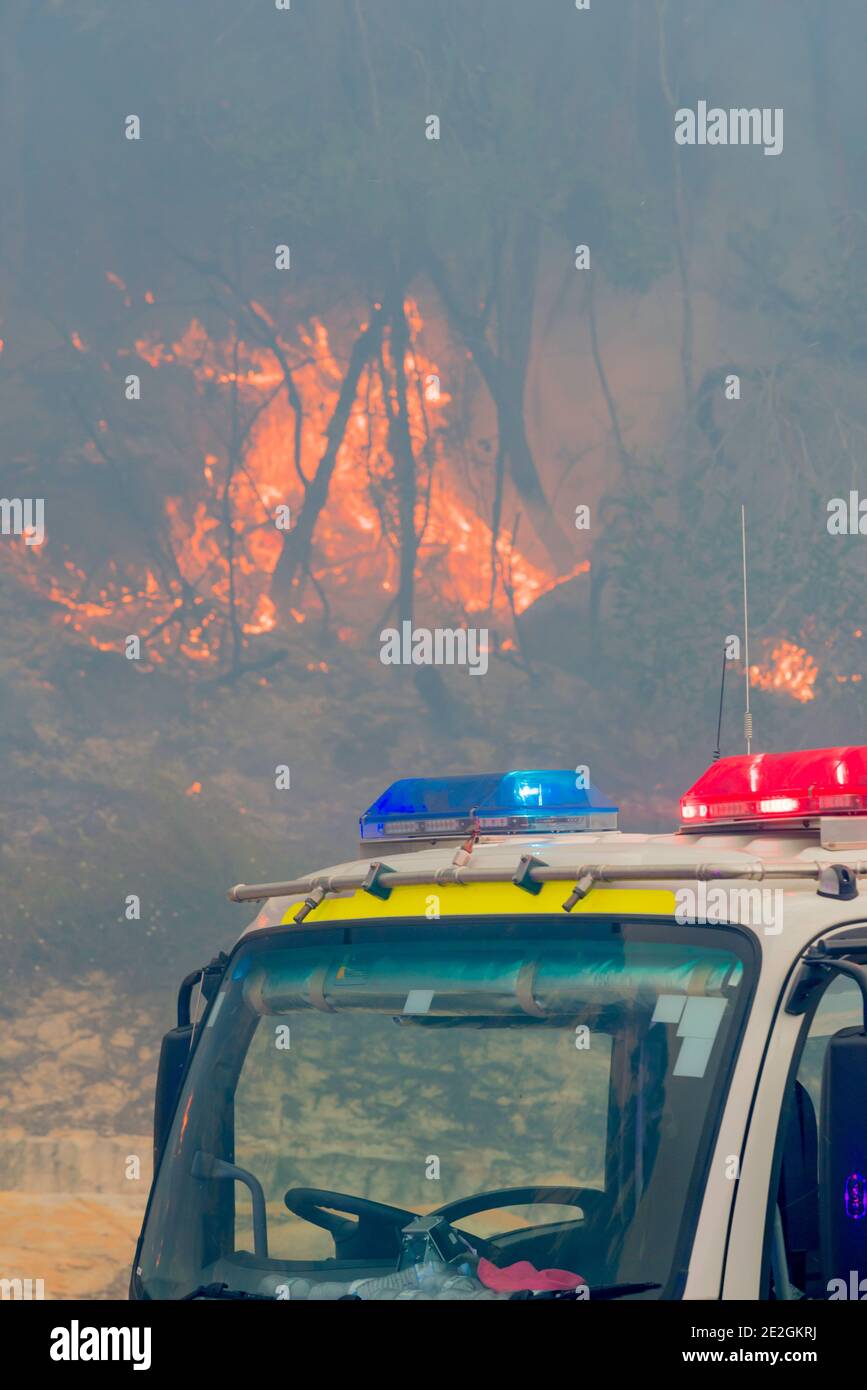 The top of a Rural Fire Service truck with lights flashing, in thick ...