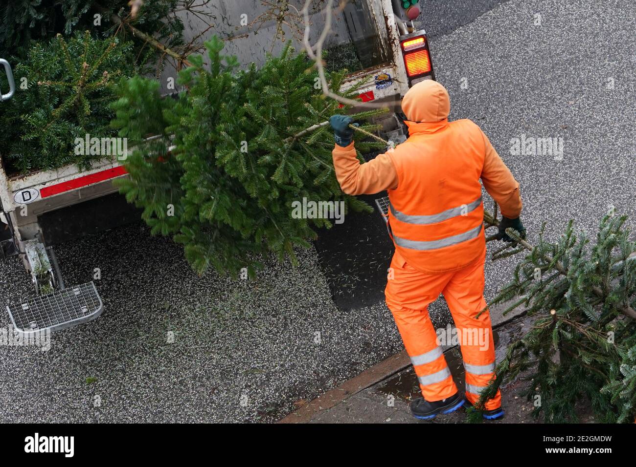 Workers carry trees hi-res stock photography and images - Alamy