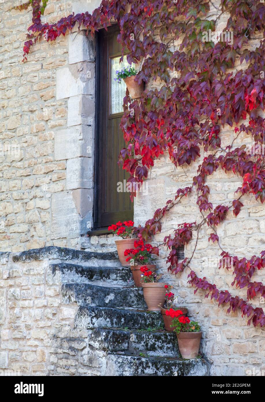 Flower pots on old stone steps leading to a doorway which is surrounded ...
