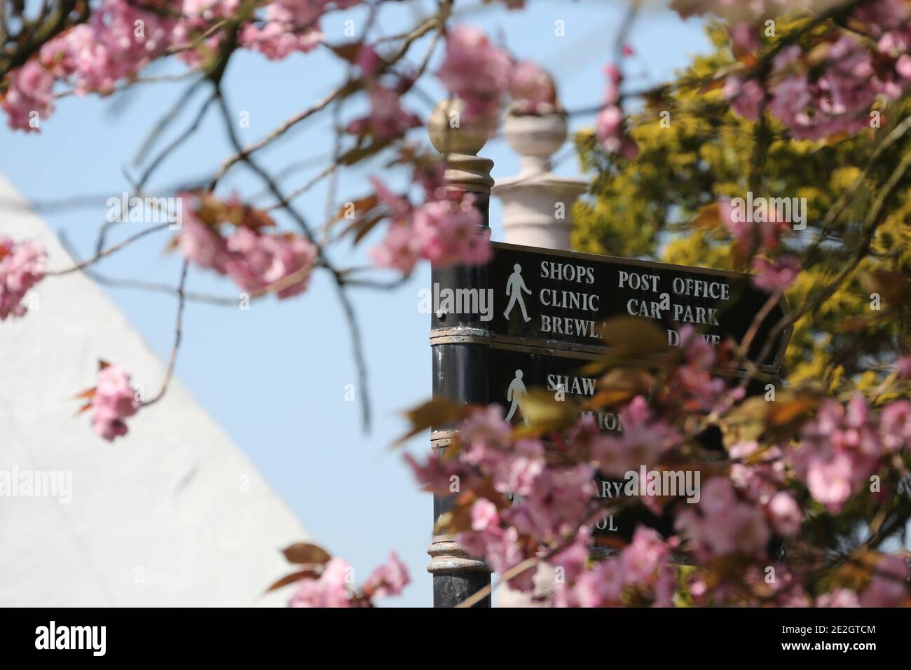 Symington,South Ayrshire, Scotland, UK Spring time blossom , church ...
