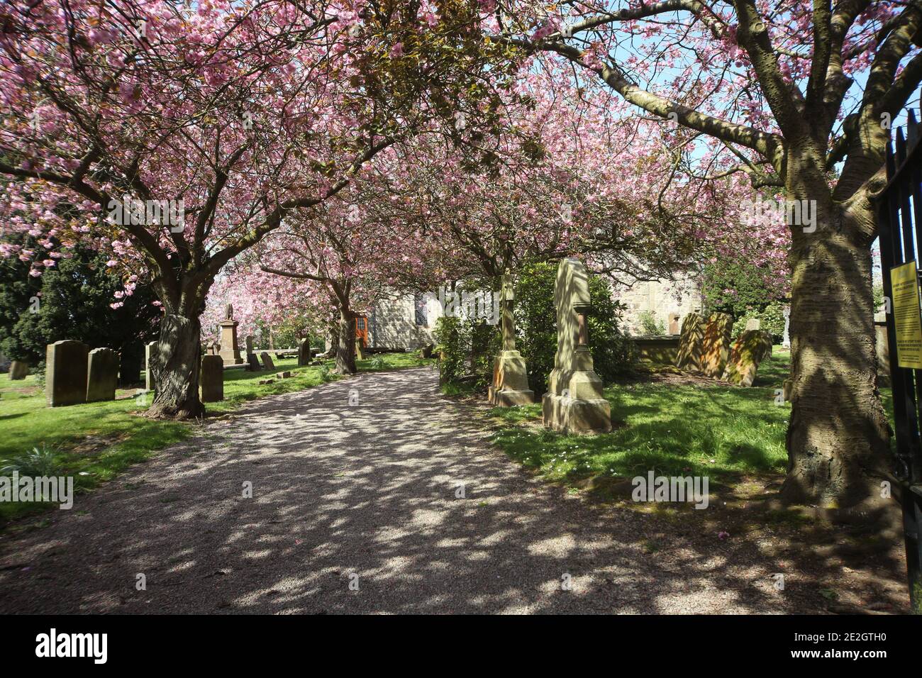 Symon loccard hi-res stock photography and images - Alamy