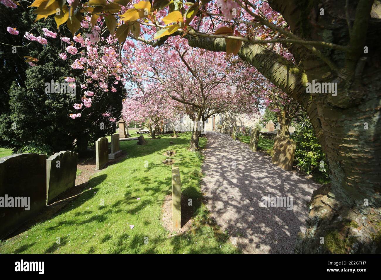 Symon loccard hi-res stock photography and images - Alamy