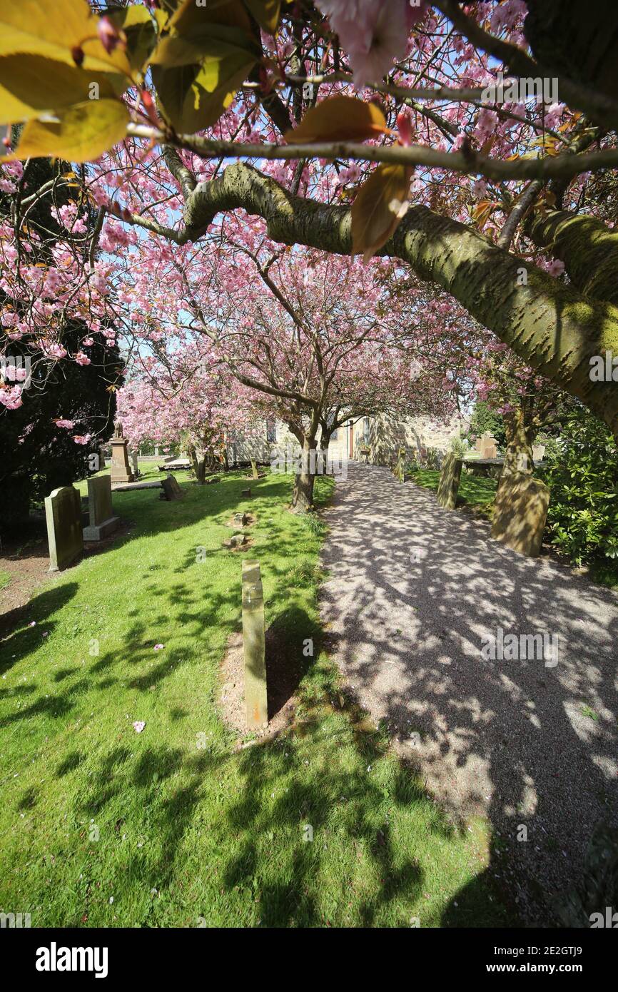 Symon loccard hi-res stock photography and images - Alamy