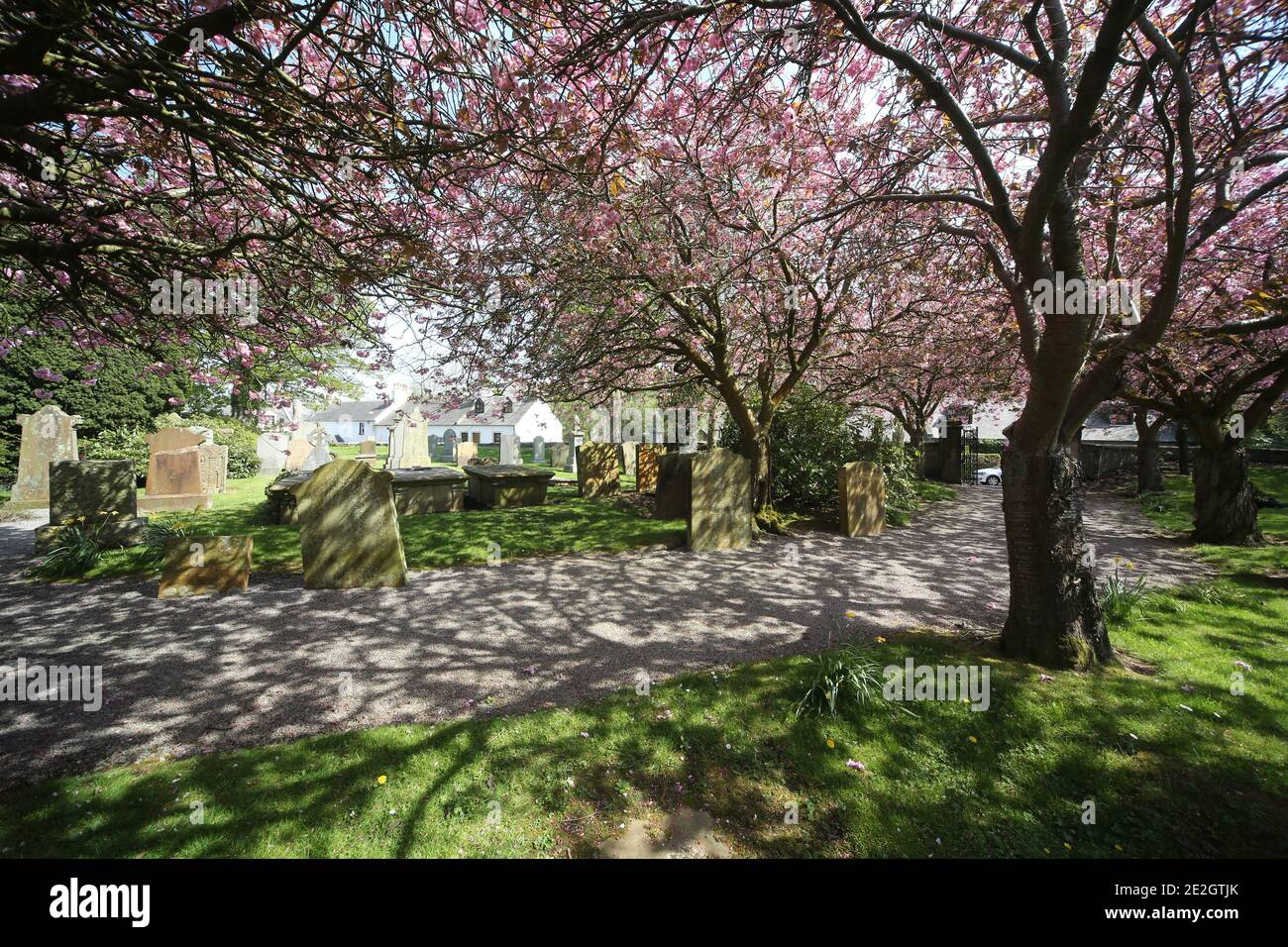 Symon loccard hi-res stock photography and images - Alamy