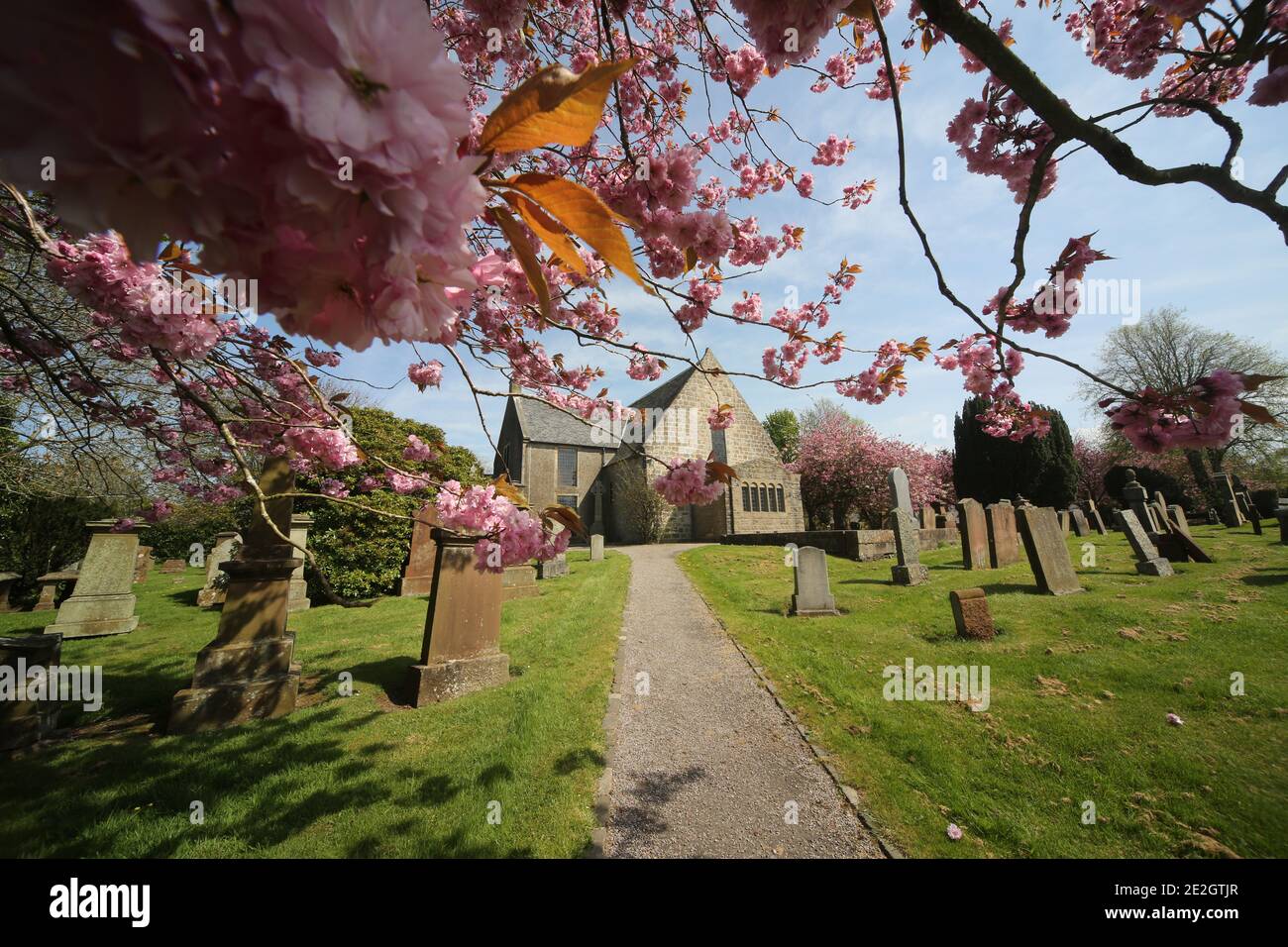 Symon loccard hi-res stock photography and images - Alamy