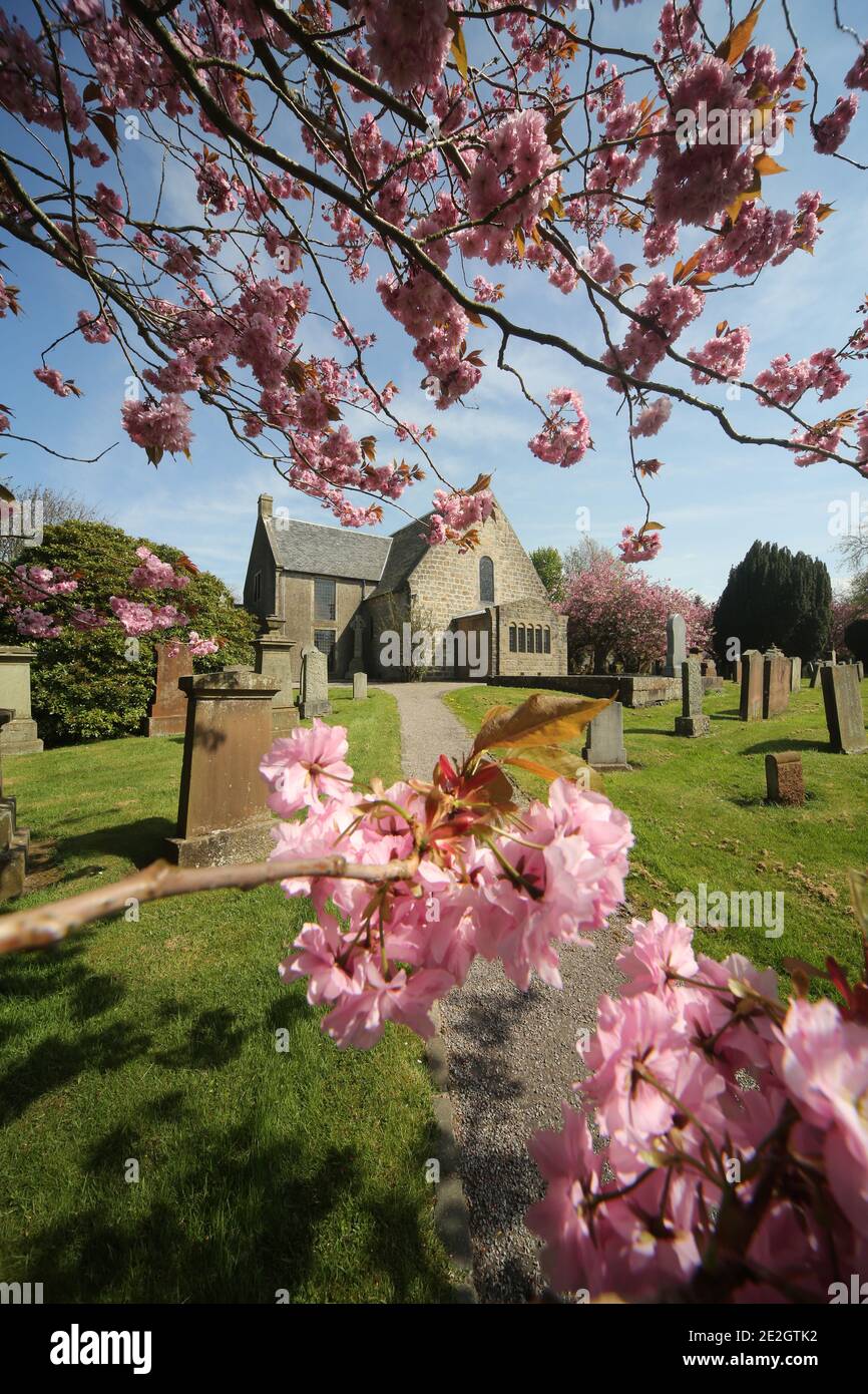 Symington,South Ayrshire, Scotland, UK Spring time blossom , church ...
