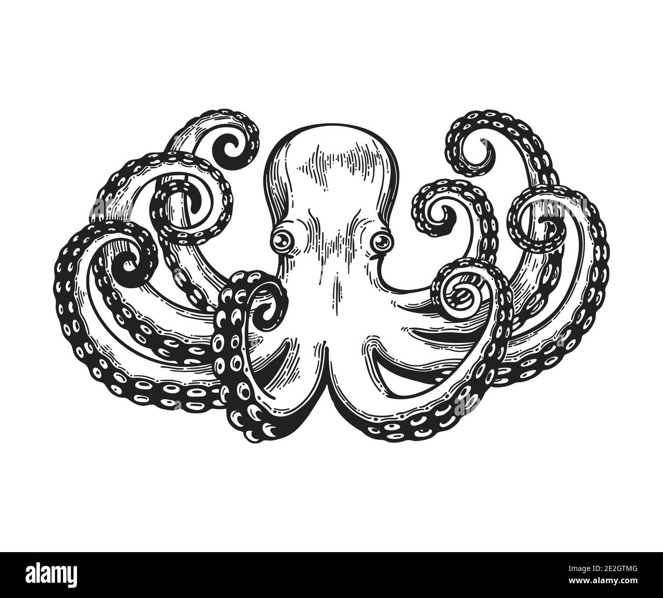 Vintage Octopus Vector