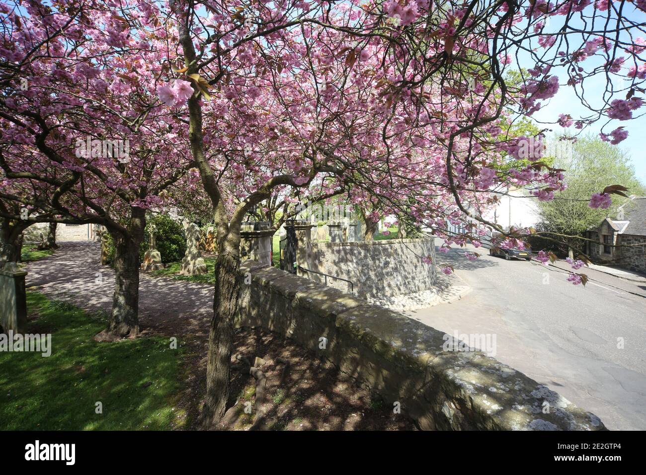 Symon loccard hi-res stock photography and images - Alamy