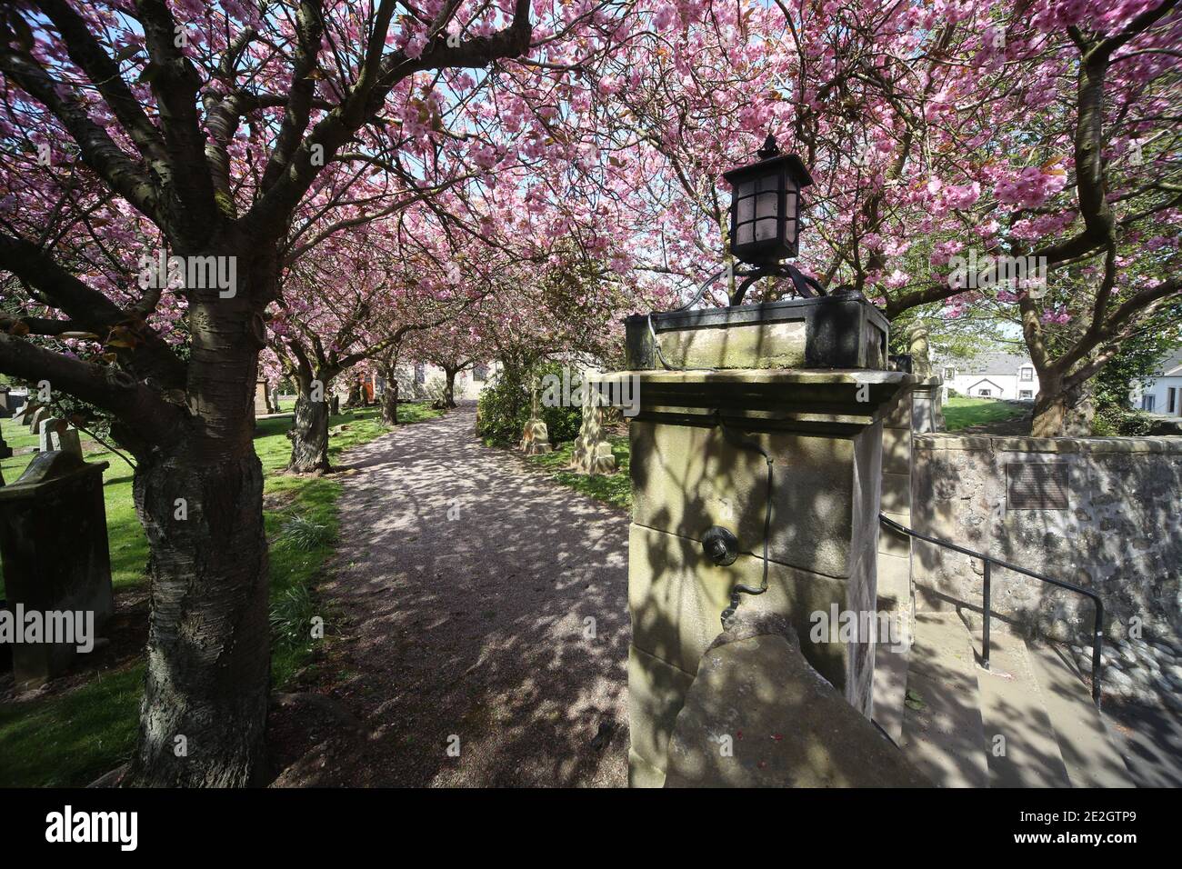 Symon loccard hi-res stock photography and images - Alamy