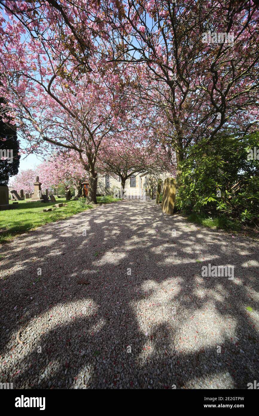Craigie symington parish church hi-res stock photography and images - Alamy