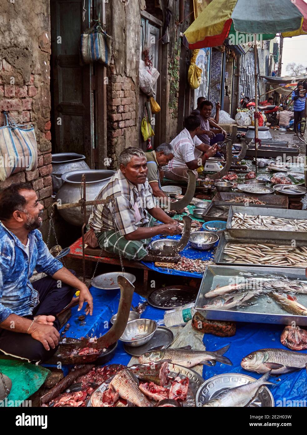 West indian fishes hi-res stock photography and images - Alamy