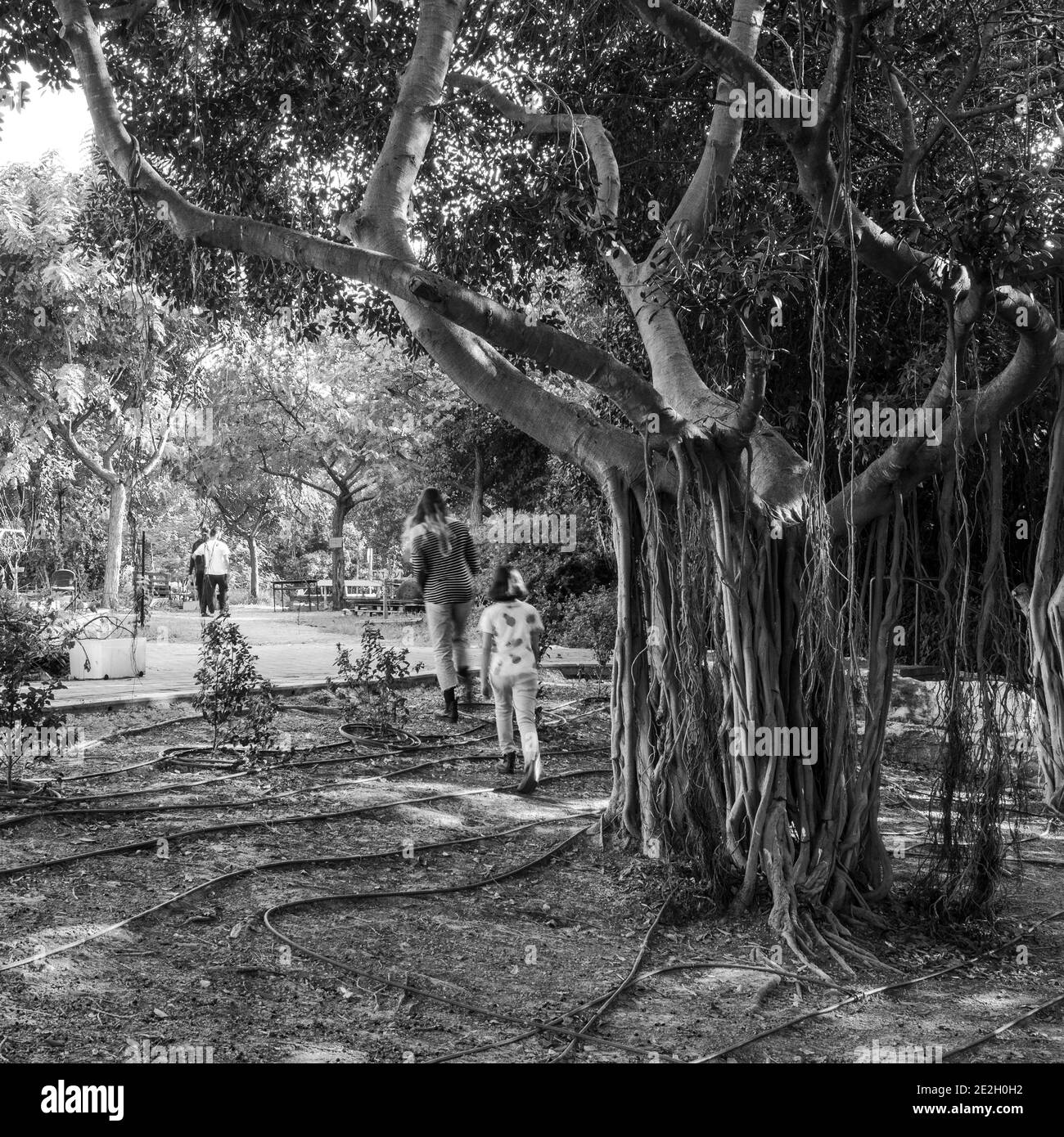 My community our earth Black and White Stock Photos & Images - Alamy