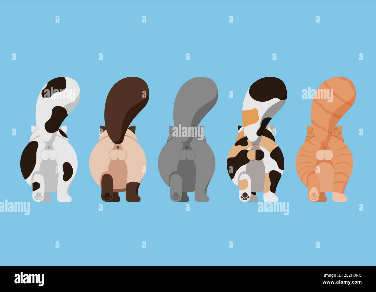 Set of Variety Cute Cat Butt Cartoon Character Design Stock Vector ...