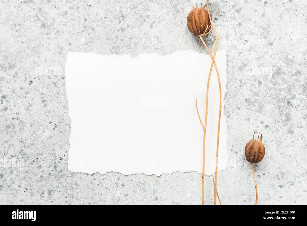 A blank white paper card on a gray background Stock Photo - Alamy