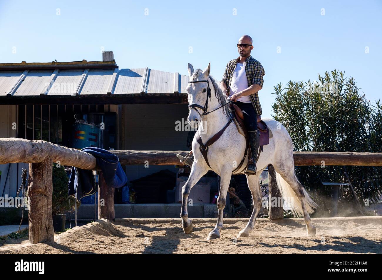 Young man in casual outfit riding white horse on sandy ground Stock ...