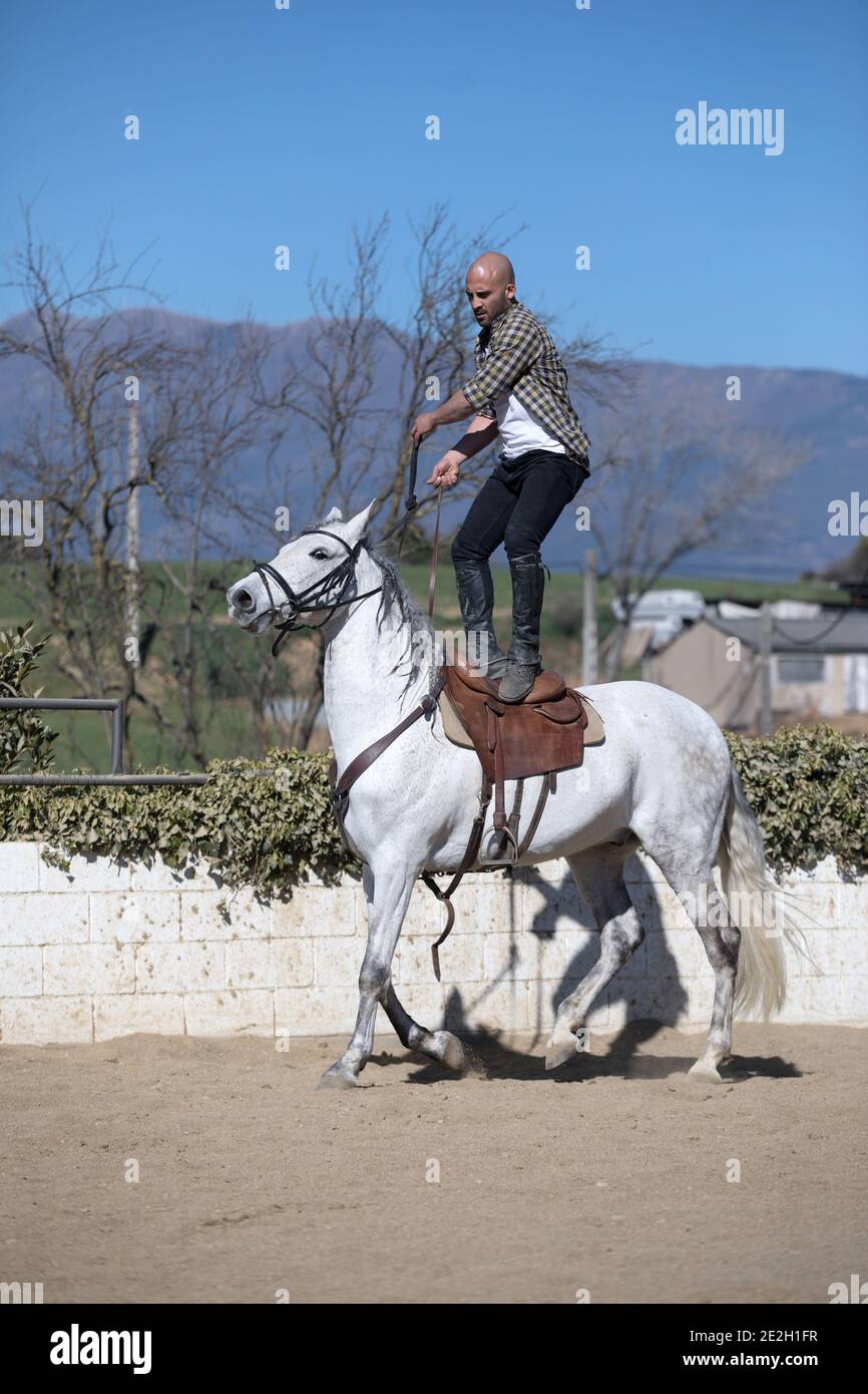 Young stunt man in casual outfit riding white horse on sandy ground ...