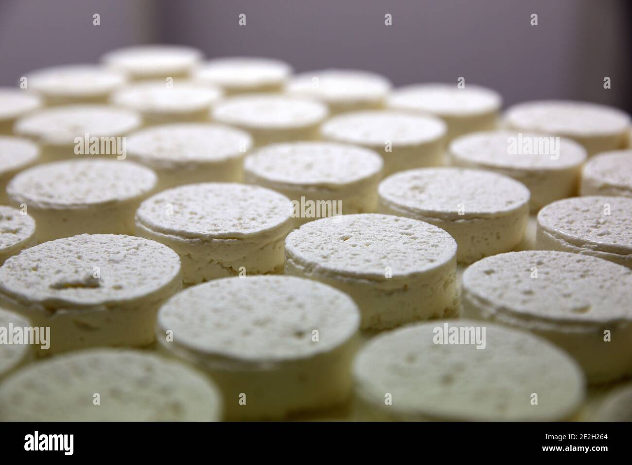 Salvagnac Cajarc (south of France): Rocamadour AOC cheese making (PDO ...