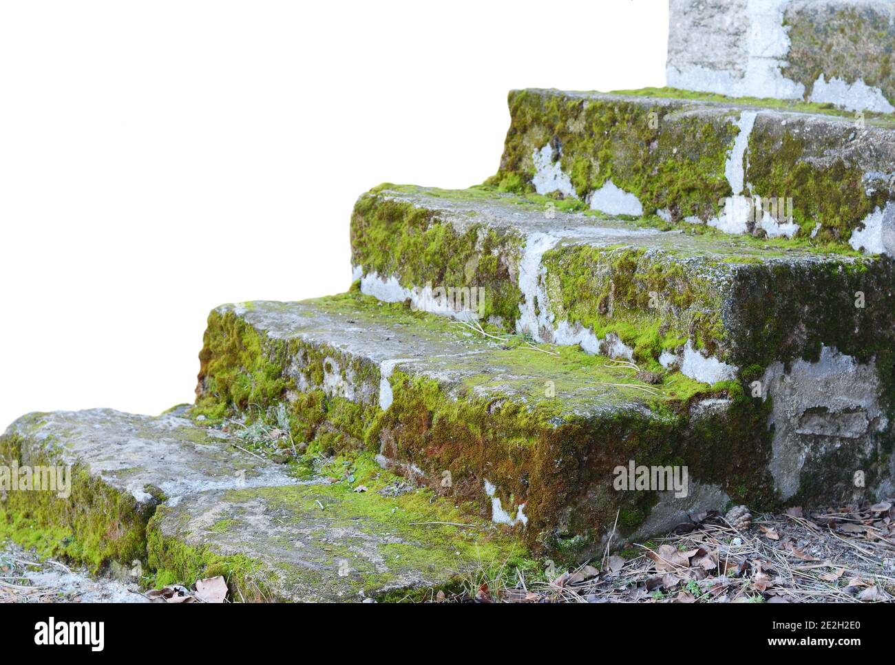 Old stone stairs covered with moss Stock Photo - Alamy