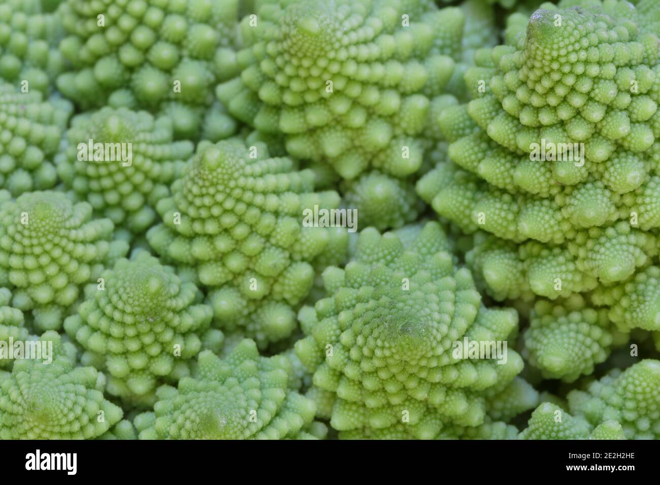 Fibonacci day hi-res stock photography and images - Alamy