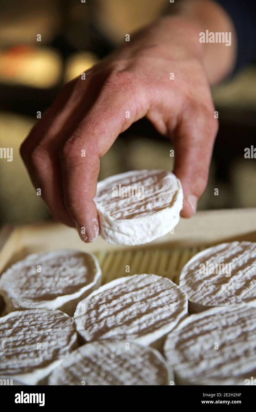 Rocamadour PDO cheese: Cabecou mature cheese, ready for sale ...