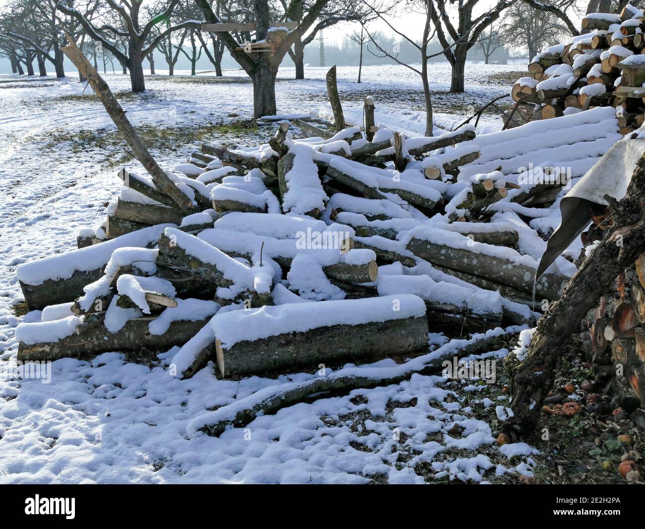 fuel wood with snow cap in wintertime Stock Photo - Alamy