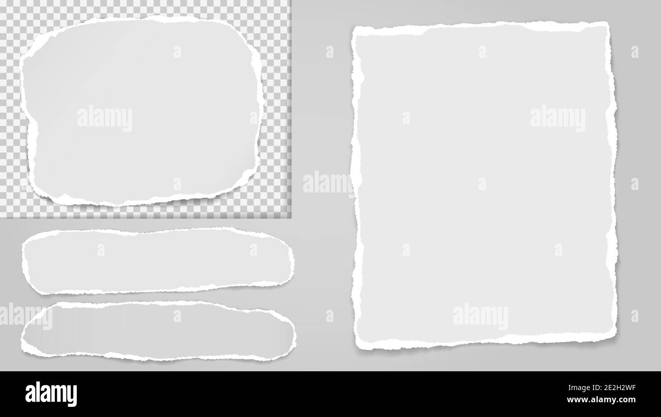 Set of torn white note, notebook paper pieces stuck on blank and grey ...