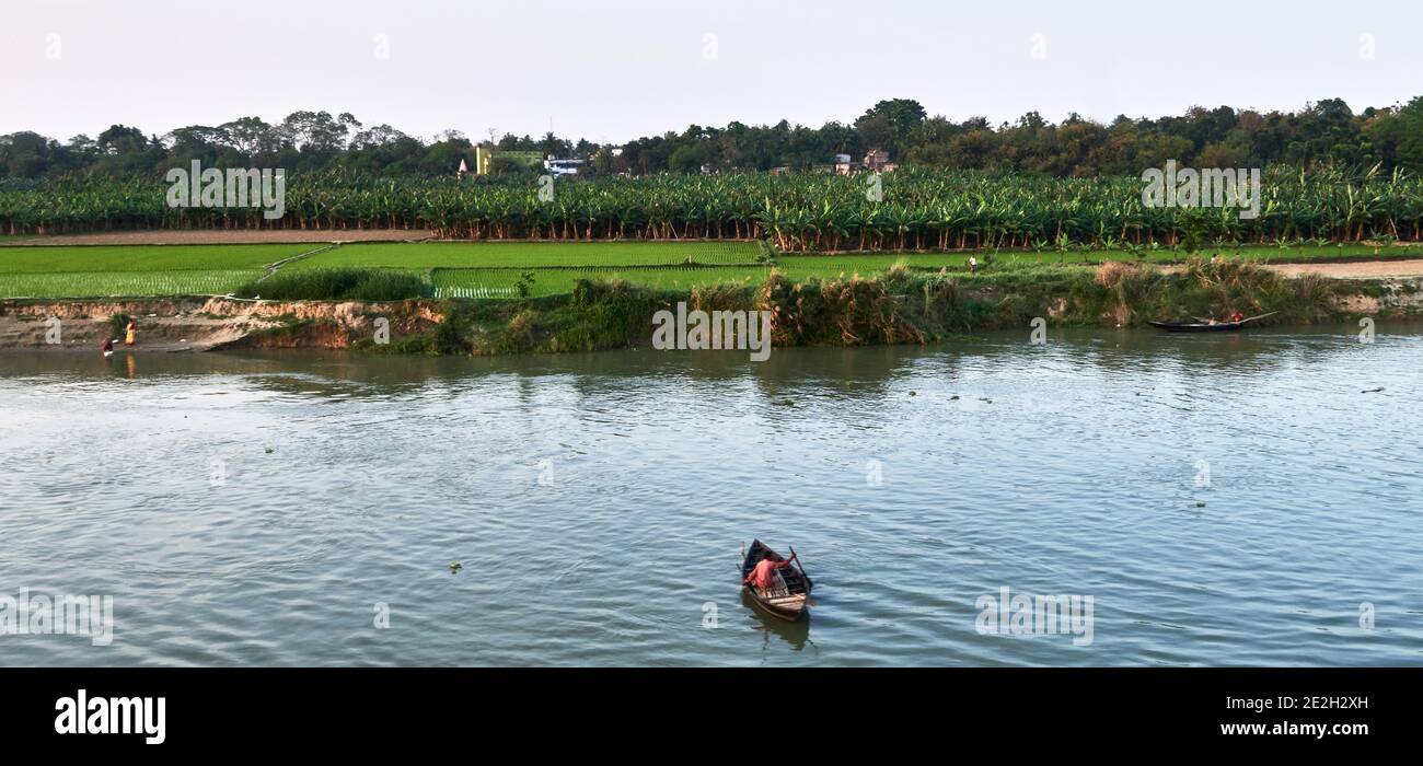 Aerial view of rice field india hi-res stock photography and images - Alamy