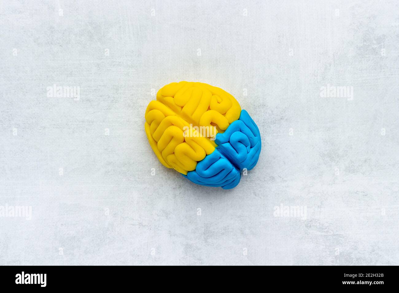 Clay model of human brain. Mental health bckground, top view Stock ...