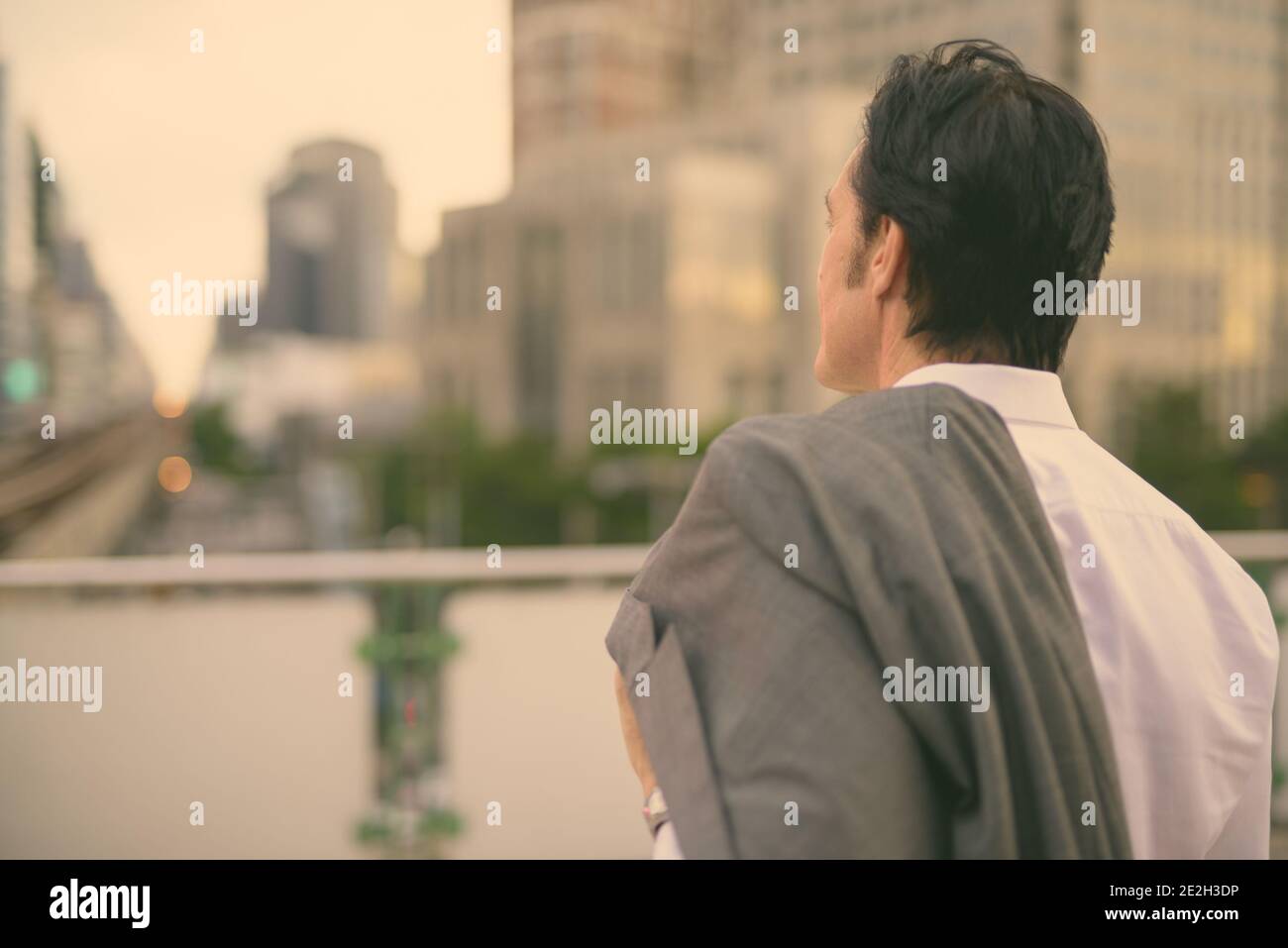 Mature handsome businessman exploring hi-res stock photography and ...