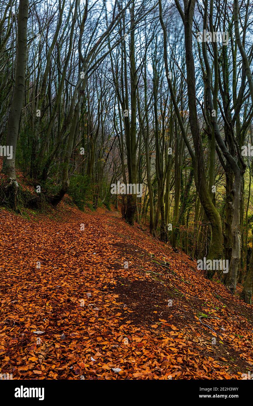 Cranham gloucestershire hi-res stock photography and images - Alamy