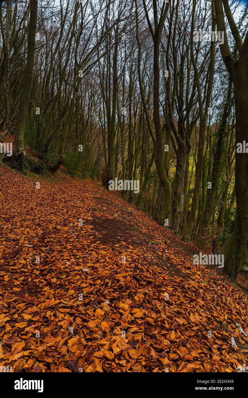 Cranham hi-res stock photography and images - Alamy