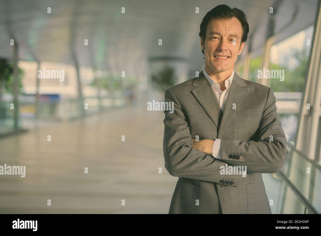 Mature handsome businessman exploring hi-res stock photography and ...