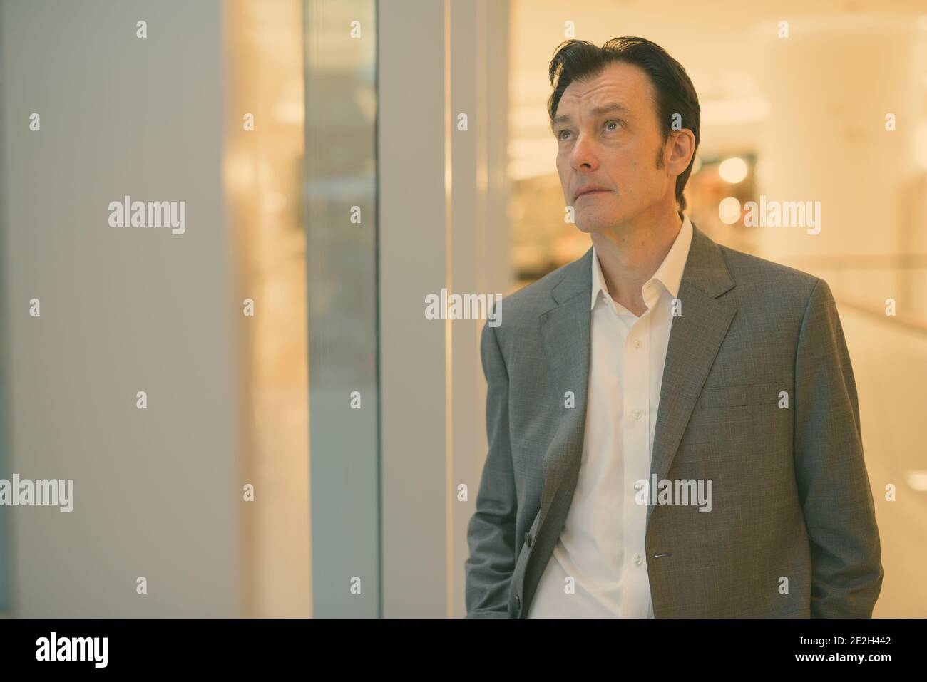 Mature handsome businessman exploring hi-res stock photography and ...