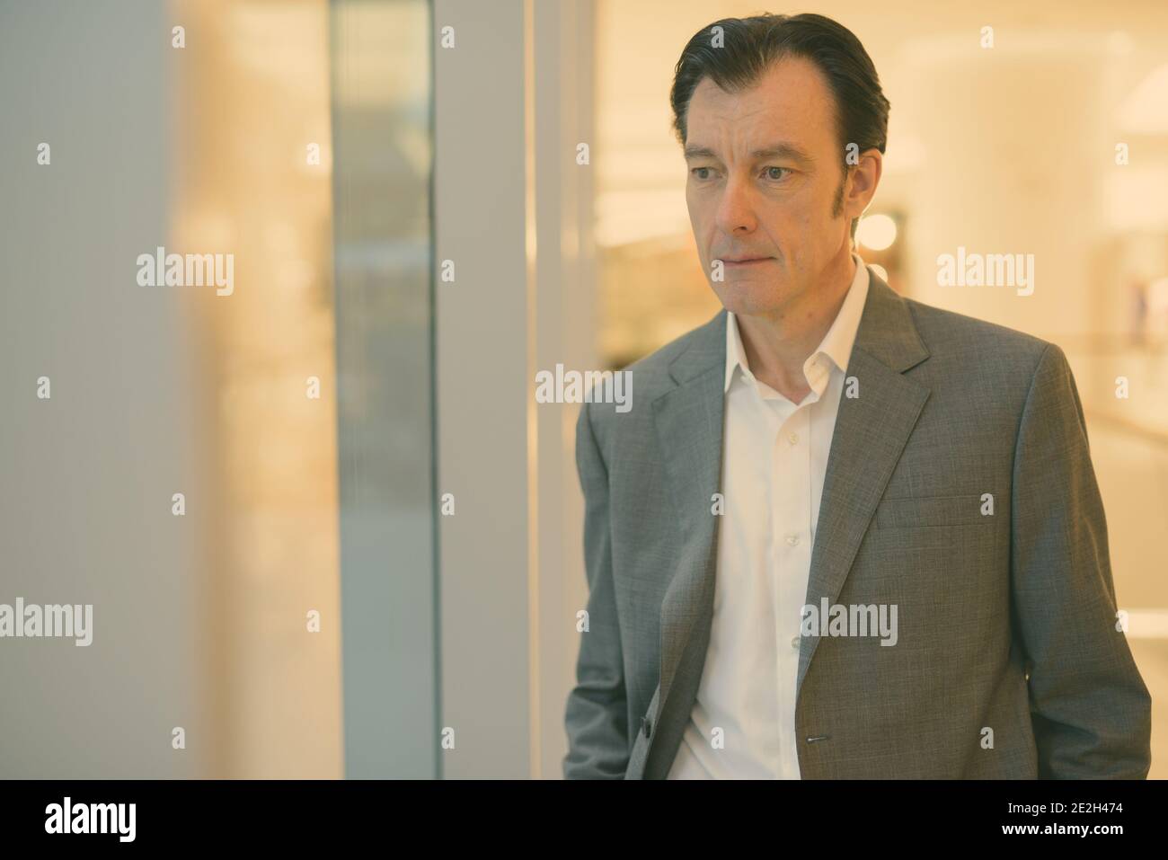 Mature handsome businessman exploring hi-res stock photography and ...