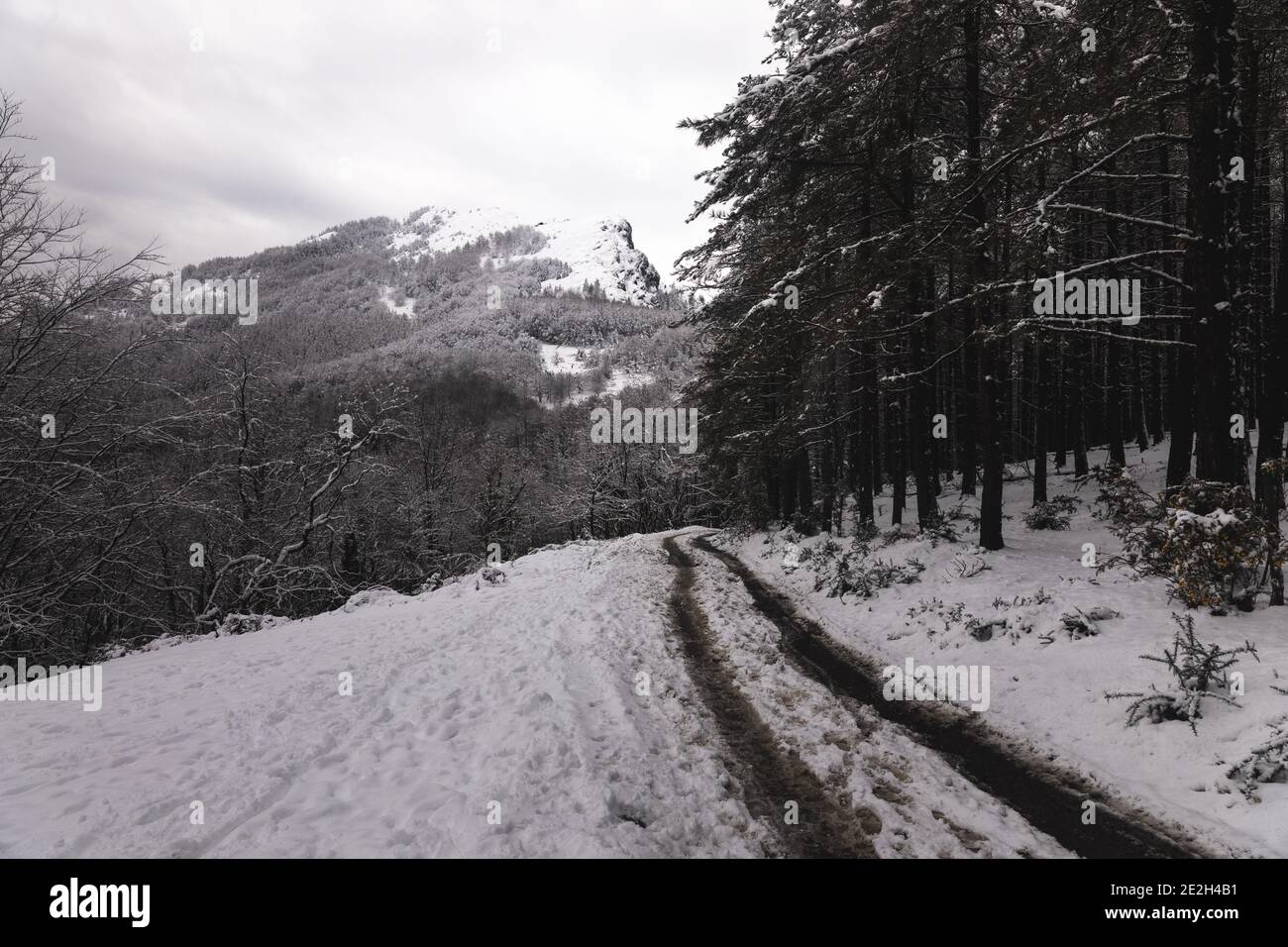 Winter landscape on the Aiako Harriak Natural Park at the Basque ...