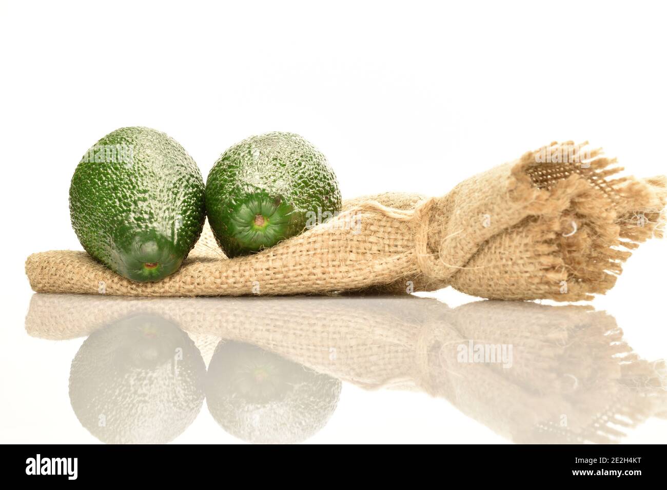 Two whole oval dark green ripe, avocados, lying all nearby, on a small ...
