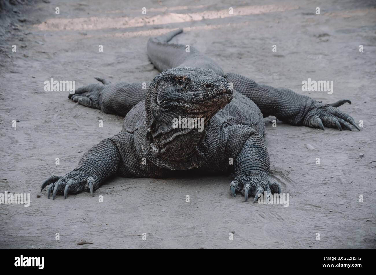 Giant monitor hi-res stock photography and images - Alamy