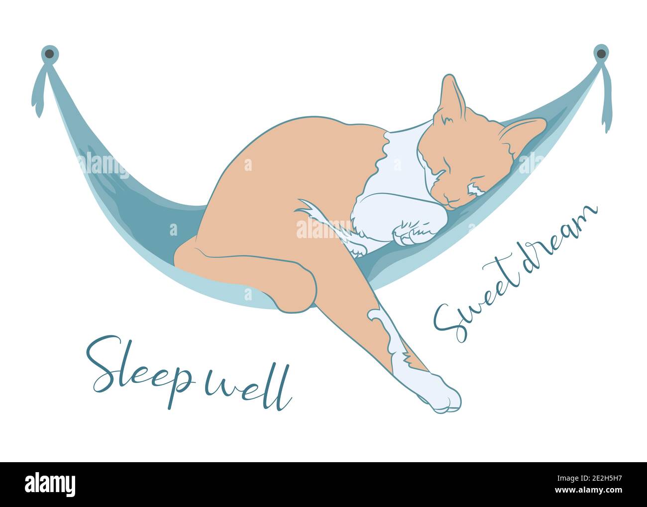 Cat Sleep Well Sleep Well Stay Well Sleeping Cat T Shirt | Tostadora