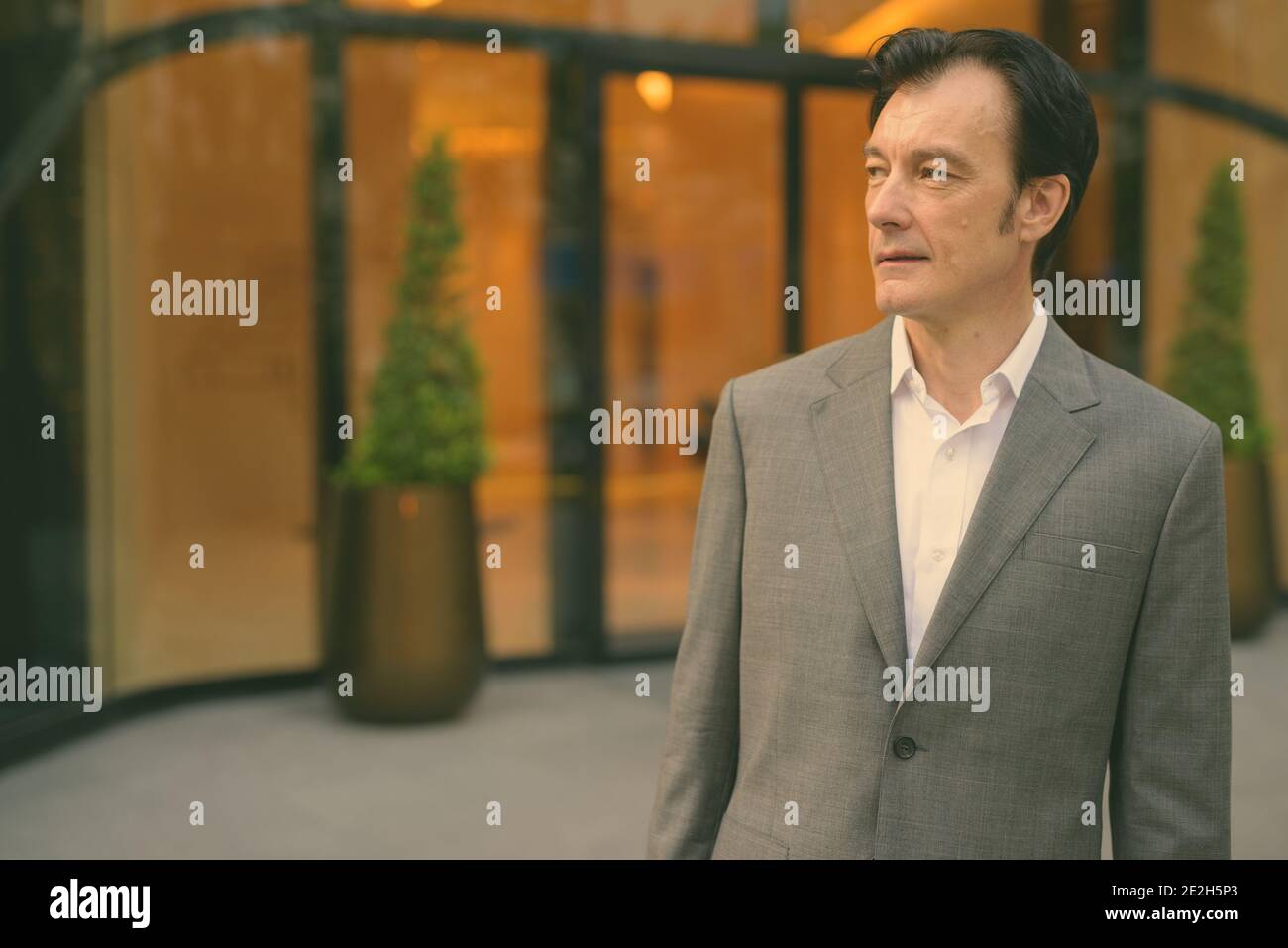 Mature handsome businessman exploring hi-res stock photography and ...