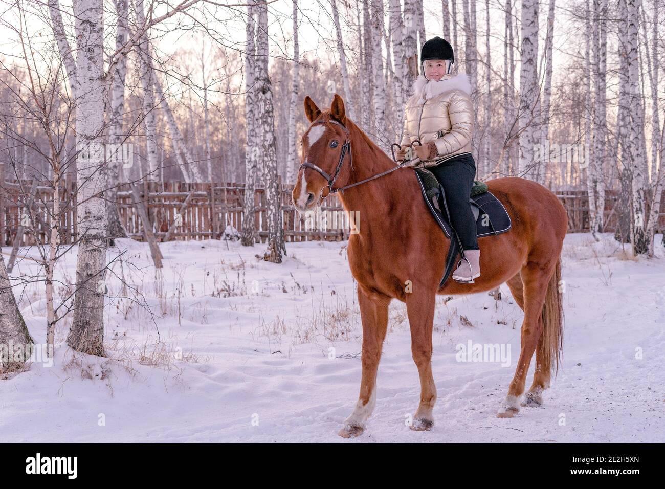 Dressage horse and woman hi-res stock photography and images - Alamy